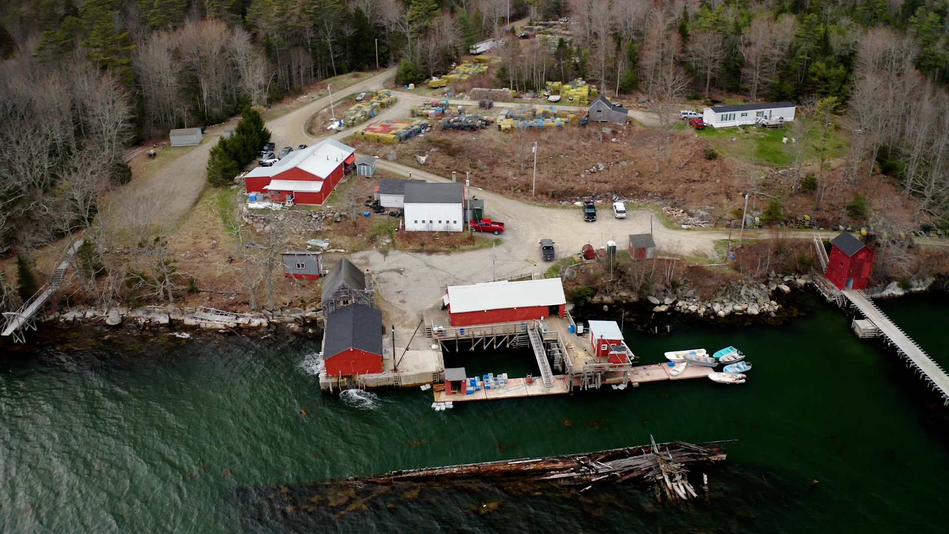 Shellfish Tags: What? Why? and How?