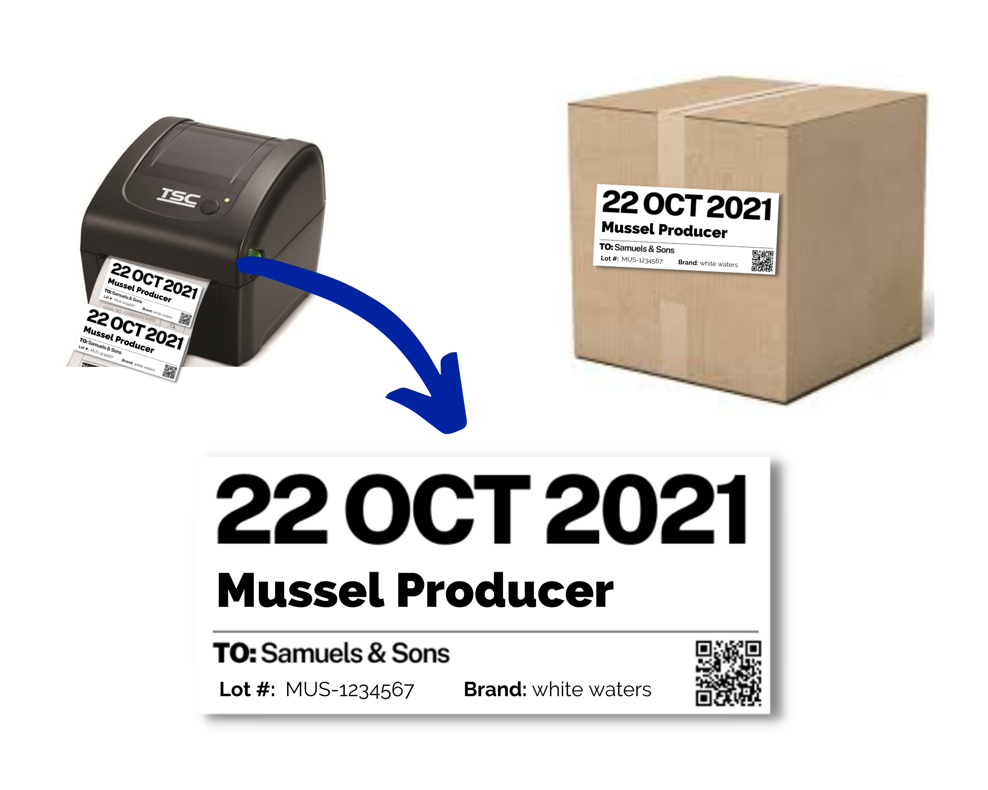 Shellfish Tags: What? Why? and How?